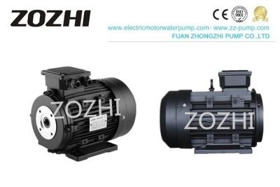 China Aluminum Housing Three Phase Induction Motor 100L1-4 2.2KW 3HP For High Pressure Washer for sale