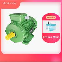 China Industrial Electric IE3 Motor MS801-2 230V/400V Aluminium Housing With Free Face Masks for sale