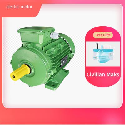 China Industrial Electric IE3 Motor MS801-2 230V/400V Aluminium Housing With Free Face Masks for sale