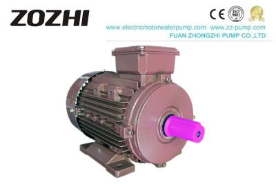 China 3 Phase Squirrel Cage Asynchronous Motor 5.5kw 4 Pole For Corn Grits Making Machine for sale