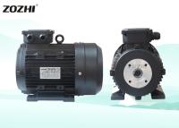 China 0.35kw 0.5hp Single Phase Asynchronous Motor IP55 With IEC IE1 IE2 IE3 Standard for sale