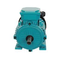 China Totally Enclosed 3 Phase Induction Motor 0.75kw 1HP 1400RPM 50/60HZ MS802-4 for sale