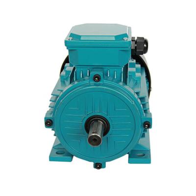 China Totally Enclosed 3 Phase Induction Motor 0.75kw 1HP 1400RPM 50/60HZ MS802-4 for sale