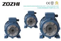 China Hydraulic Electric Hollow Shaft Motor Three Phase 380V Aluminum Housing Low Noise for sale