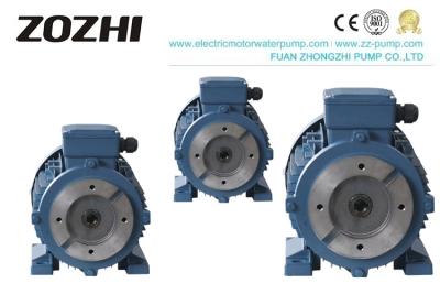 China Hydraulic Electric Hollow Shaft Motor Three Phase 380V Aluminum Housing Low Noise for sale