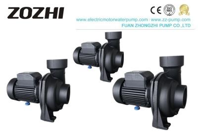 China NFM Series Centrifugal Water Pump 1hp 2hp 3hp Compact Size For Gardening Irrigation for sale