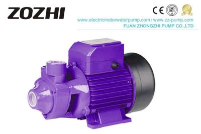 China Domestic Electric Clean Water Pump 2850RPM Speed 0.75KW 12 Months Warranty for sale