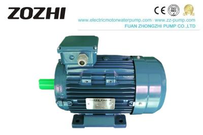 China 4 Pole 3 Phase Induction Motor , 380V Squirrel Cage Electric Motor F Insulation Class for sale