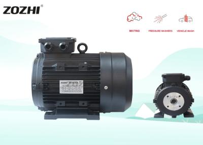 China Female Hollow Shaft Motor Three Phase 1400Rpm IP55 24mm With ISO Certification for sale