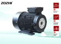 China Electric Hollow Shaft Motor 3 Phase Aluminum Housing 100% Copper 1400rpm IEC for sale