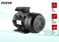 China CCC 100% Copper Wire Three Phase Induction Motor 230/400V IP55 For Hawk / AR Pump for sale