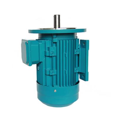 China IE2 Electric Motor Water Pump 3KW B14 220V 380V MS100L2-4 CE Certification for sale