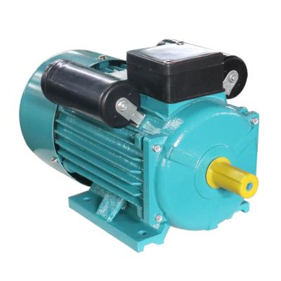 China 2800RPM 0.5hp 0.37kw Electric Motor Water Pump 50HZ 60 Hz YC80A-2 Cast Iron for sale