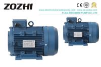 China Hydraulic Electric Hollow Shaft Motor, Three Phase Induction Motor Aluminum for sale