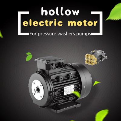China 24mm Shaft Asynchronous Ac Motor 380v for sale
