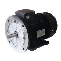 China EFF2 Three Phase Electric Motor IP55 AC Induction 2 4 Pole Aluminum for sale