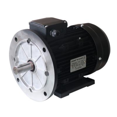 China EFF2 Three Phase Electric Motor IP55 AC Induction 2 4 Pole Aluminum for sale