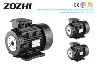 China Aluminum Three Phase 380V Hollow Shaft Motor for sale