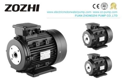 China Aluminum Three Phase 380V Hollow Shaft Motor for sale
