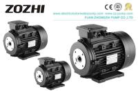 China Car Washer 3 Phase IP54 Hollow Shaft Motor for sale