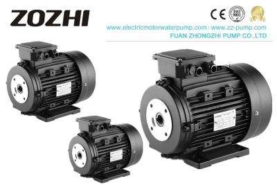 China Car Washer 3 Phase IP54 Hollow Shaft Motor for sale