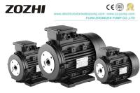China B3 Aluminum Housing 24mm Hollow Shaft Electric Motor for sale