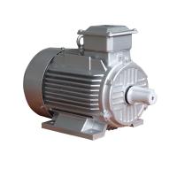 China Efficient And Reliable 3 Phase Induction Motor For Various Applications for sale