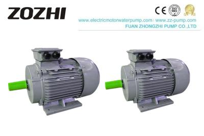 China Driving Y2 Series IEC 3 Phase Induction Motor for sale