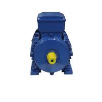 China 960RPM 5.5HP 4KW 3 Phase Asynchronous Motors MS132M1-6 for sale