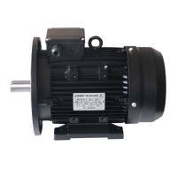 China IE3 2.2KW 3HP Squirrel Cage Aluminum Motor MS100L1-4 for sale
