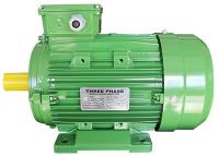 China 0.12kw IP55 0.16HP 3 Phase Induction Motor For Wood Lathe for sale
