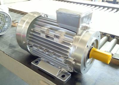 China Spanking Machine 1400rpm 3 Phase Induction Motor 250W 300W for sale