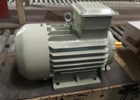 China Large Torque Cast Iron 3KW 2900Rpm 15Hp 3 Phase Ac Motor for sale