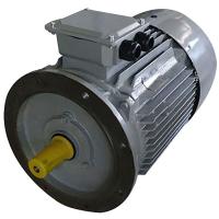 China Square Cage 0.75kw 1Hp Eff1 Eff2 Three Phase Induction Motor for sale