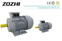 China Cast Iron IP44 0.75kw 1HP Three Phase Electric Motor for sale