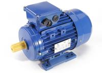 China 4 Pole IP55 0.75kw 1hp 1500rpm Induction AC Motor for sale