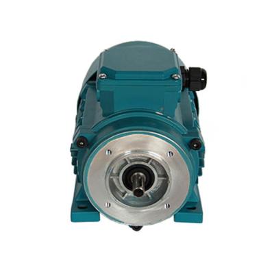 China Energy Efficient 2.2kW Three-Phase Induction Motor with IP55 Waterproof Rating for Industrial Applications for sale