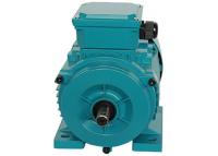 China B Insulation 25HP 18.5kw 3 Phase Asynchronous Motor for sale