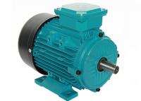 China IP55 ICO141 Cooling 22KW 30HP 3 Phase Induction Motor for sale