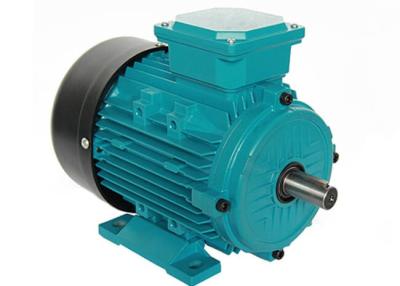 China IP55 ICO141 Cooling 22KW 30HP 3 Phase Induction Motor for sale