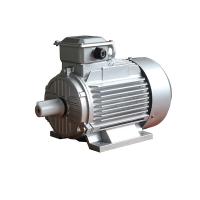 China Y2 Cast Iron IP55 0.75kw 1Hp Three Phase Asynchronous Motor for sale