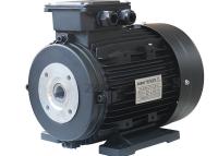 China Clockwise Rotation 24mm 220-380V IE2 Hollow Shaft Motor for sale