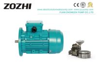 China 0.12Hp 0.09Kw 3 Phase Induction Motor For Commercial Roaster for sale