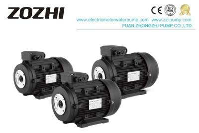 China Die Cast Aluminum Hollow Shaft Motor IP44 Three Phase HS Series 380V for sale