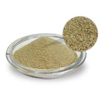 China Highly Lysine Multivitamin Powder for Poultry Cattle Sheep 98.9% L-lysine HCL Content for sale