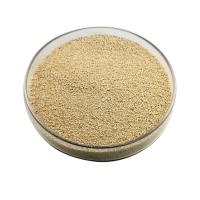 China Highly Lysine Multivitamin Powder for Poultry Cattle Sheep 98.9% L-lysine HCL Content for sale