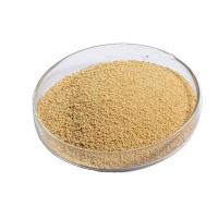 China Highly Lysine Multivitamin Powder for Poultry Cattle Sheep 98.9% L-lysine HCL Content for sale