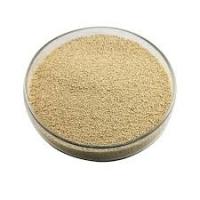 China Vitamin B and lysine hydrochloride enriched beer yeast hydrolysate powder for animal feed for sale