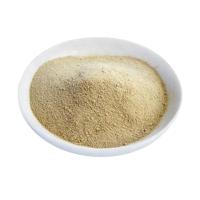 China Vitamin B and lysine hydrochloride enriched beer yeast hydrolysate powder for animal feed for sale
