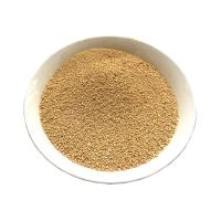 China Vitamin B and lysine hydrochloride enriched beer yeast hydrolysate powder for animal feed for sale